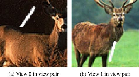 Unsupervised Disentanglement Without Autoencoding Pitfalls And Future