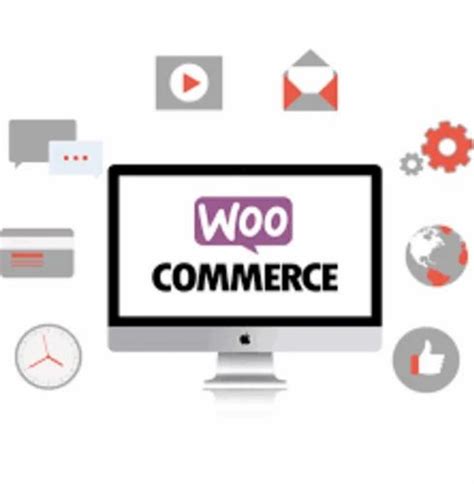 Woocommerce Development Services At ₹ 1500 Hour In Valsad Id