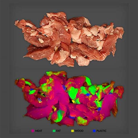 Ensuring Food Safety With Hyperspectral Imaging Konica Minolta Sensing