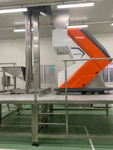 Automatic Walnut Sorting Machine Single Phase At Best Price In Chennai