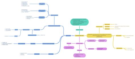 Congenital Malformation Coggle Diagram