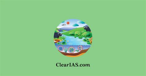 Functions Of Ecosystem Ecological Succession And Homeostasis Clearias