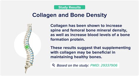 Bovine Collagen Benefits Types And Side Effects
