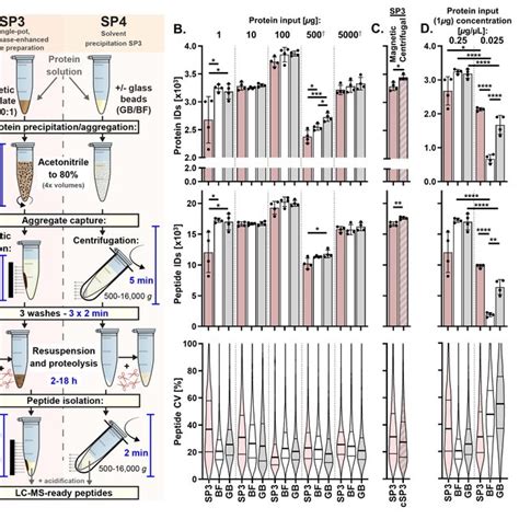 Comparison Of SP With SP A Summary Of The SP And SP Workflows Download Scientific