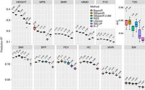 Improved Polygenic Prediction By Bayesian Multiple Regression On Summary Statistics Pmc