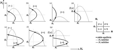 Main Features Of The Local Dynamics Of Variable Population