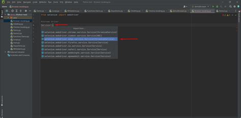 Selenium Python Invoke Chrome Browser And Load Site To Automate