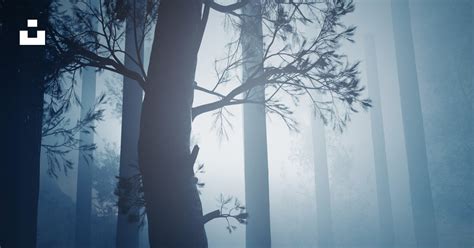 나무를 오르는 사람 사진 Unsplash의 무료 나무 이미지