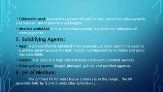 Plant Tissue Culture Pptx