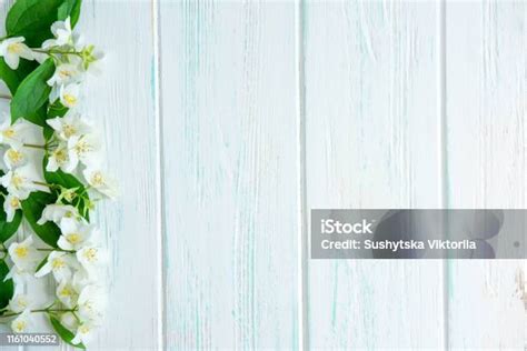 나무 배경에 재스민 꽃 축하 배너에 대한 배경 나무 배경에 재스민 꽃입니다 플랫 레이 상단 보기 구도에 대한 스톡 사진 및 기타 이미지 Istock