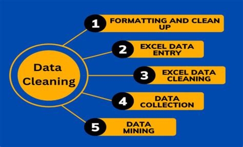 Data Analysis Data Visualization Will Excel Data Entry Cleaning And