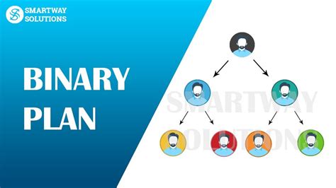 Smartway Binary Plan Mlm Software Free Demo Available At Rs 24999 In Ludhiana