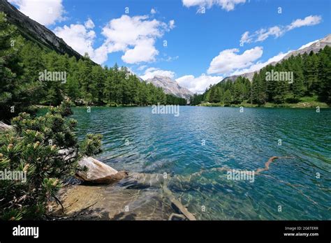 Albula Alpes Banque De Photographies Et Dimages à Haute Résolution Alamy