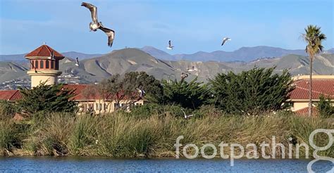 Ventura Harbor Ecological Reserve Trail Footpathing