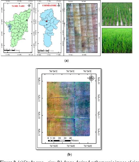 Figure 2 From Quantification Of Biophysical Parameters And Economic Yield In Cotton And Rice