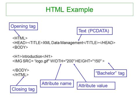 Html Web Code