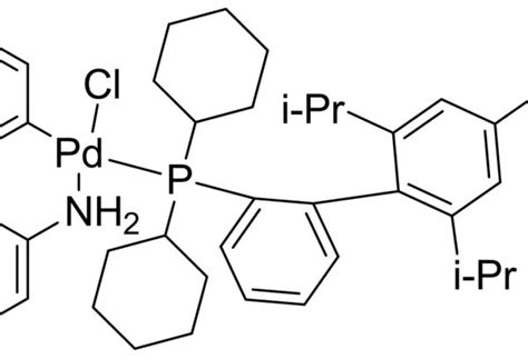 Xphos Pd G2 Bioruler