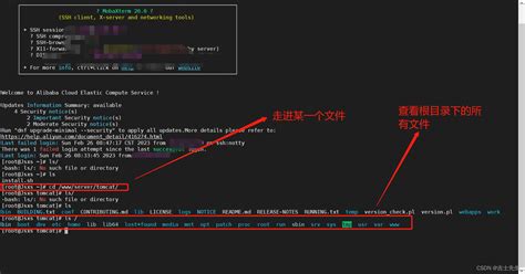 97 【linux】 linux系统管理实战教程任务扩展联系 csdn博客