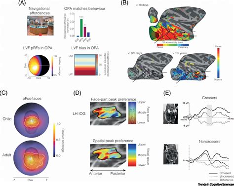 Visuospatial Coding As Ubiquitous Scaffolding For Human Cognition Trends In Cognitive Sciences