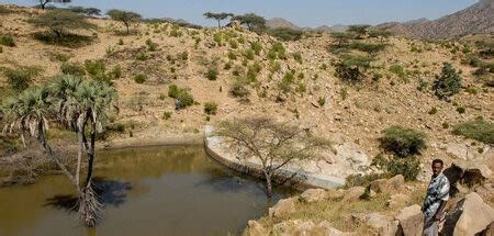 Defy Climate Change Eritrea Weather Extremes Require Rethinking In Agriculture ECSS