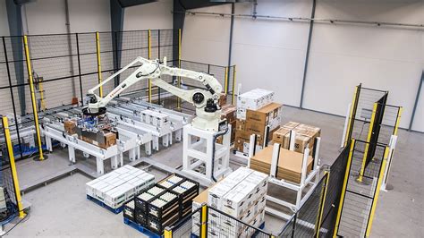 Case Palletizer For Eggs High Speed Robotic Solution For Egg Case