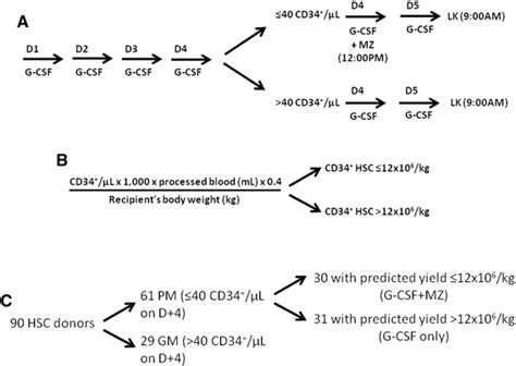 Cd34 Hsc Mobilization Algorithm G Csf Was Given Subcutaneously At