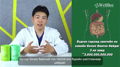 Дархлааны Ашигтай бактери Иммун пробиотик Эрүүл амьдралын дадал Youtube