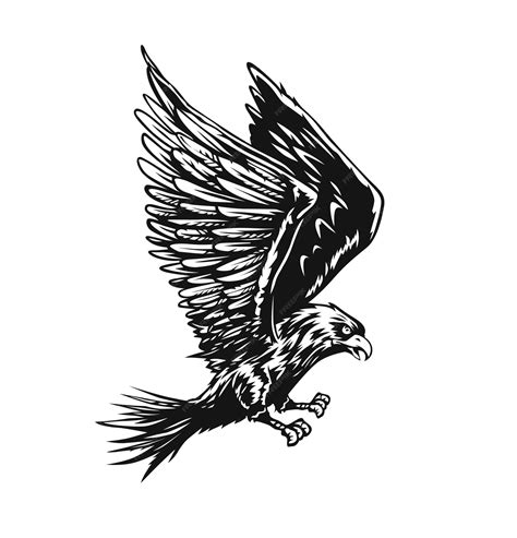 Eagle Eye Ii Camera Clipart