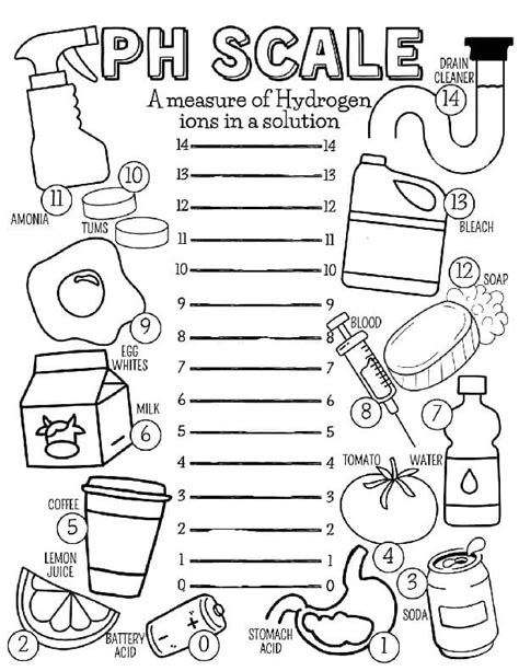 Blank Ph Scale With Example Coloring With Household Items Coloring Poster