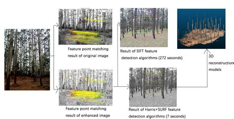 Remote Sensing Free Full Text Forest 3d Reconstruction And Individual Tree Parameter