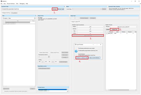 import of single cell segmentation — biofilmq drescher lab