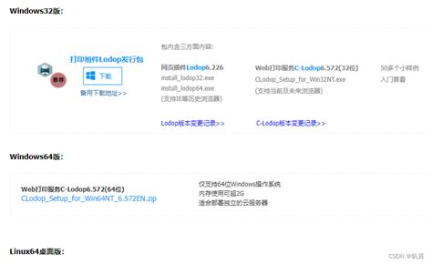 vue使用clodop插件打印 c lodop csdn博客