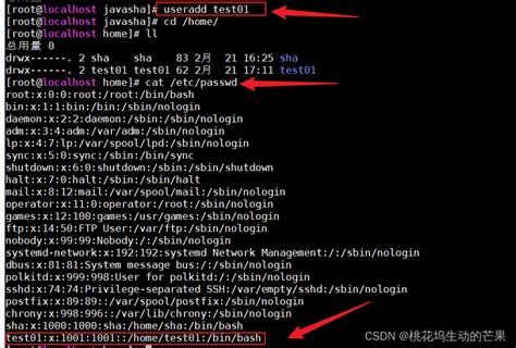 linux之用户和用户组的深入了解 csdn博客