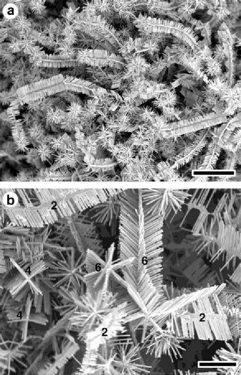 Schematic Semantic Scholar
