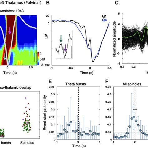 Thalamic Theta During Nrem Sleep A Example Time Frequency Download Scientific Diagram