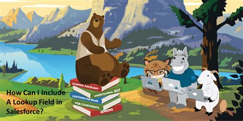 Salesforce Lookup Fields A Comprehensive Guide
