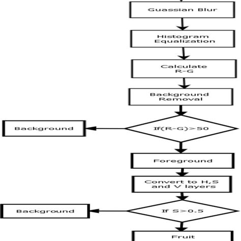 Flowchart Elucidating Yield Estimation Of Mango Fruit Download