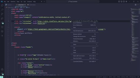 Mohamed Fayas On Linkedin Webdevelopment Frontend Portfolio Html Css Javascript Coding