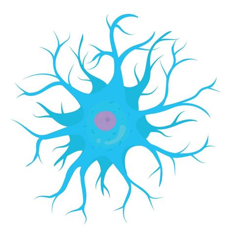 Anaxonic Neuron Cell 21775861 Vector Art At Vecteezy