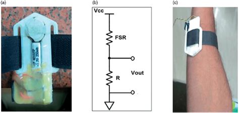 A Sensing Area Of The Fsr Band B Output Circuit For The Band And