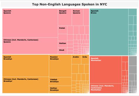 Examining Non English Languages Spoken By Nyc Residents Information