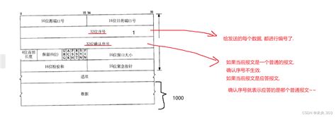 【javaee初阶】第六节 网络原理tcp ip协议 tcp ip 协议java csdn博客