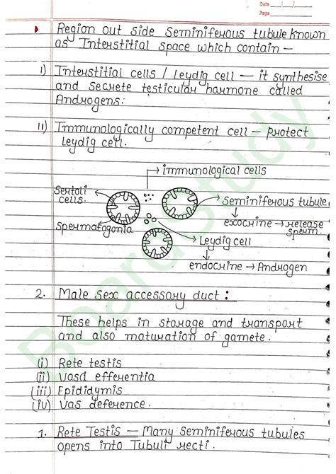 Ncert Class 12 Biology Human Reproduction Notes Handwritten Notes And Pdf Download
