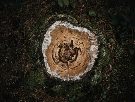 distributed log analytics using apache kafka kafka connect and fluentd