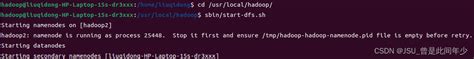 Hadoop使用hdfs指令查看hdfs目录的根目录显示被拒的原因及解决方案java脚本之家