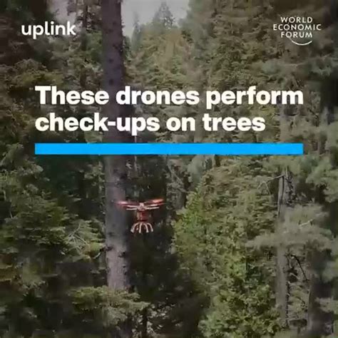 Bhushankumar L On Linkedin Ai Artificialintelligence Ml