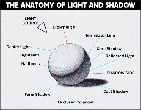 The Anatomy Of Light And Shadow Brush Volt