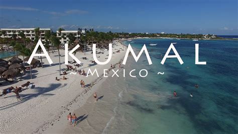 Live Camera Beach Resort Akumal Mexico Live Webcam From Tulum Watch
