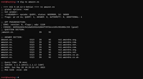 Como Funciona El Protocolo Dns Deep Hacking