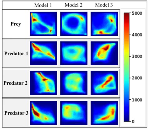Ergodic Spatial Distributions For All Agents 1 Prey Agent And 3